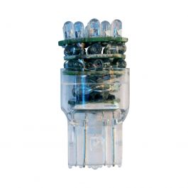 T20 15mm - 30 LED 12V